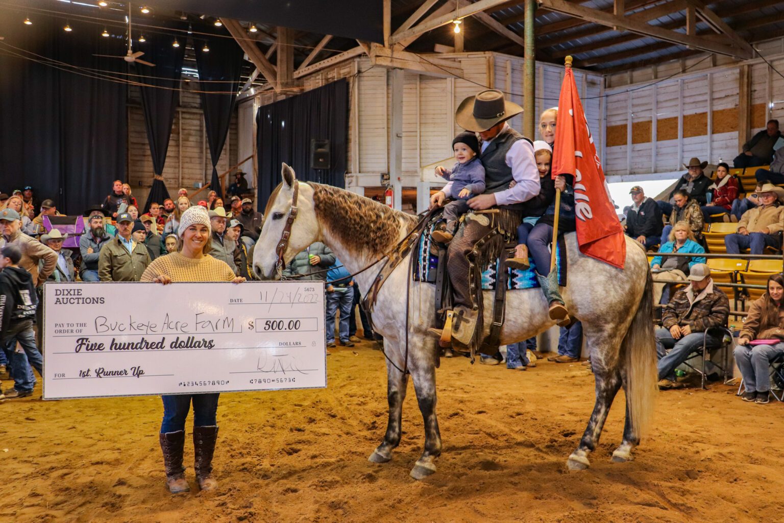 Trail Horse Competition - Dixie Horse Auction LTD