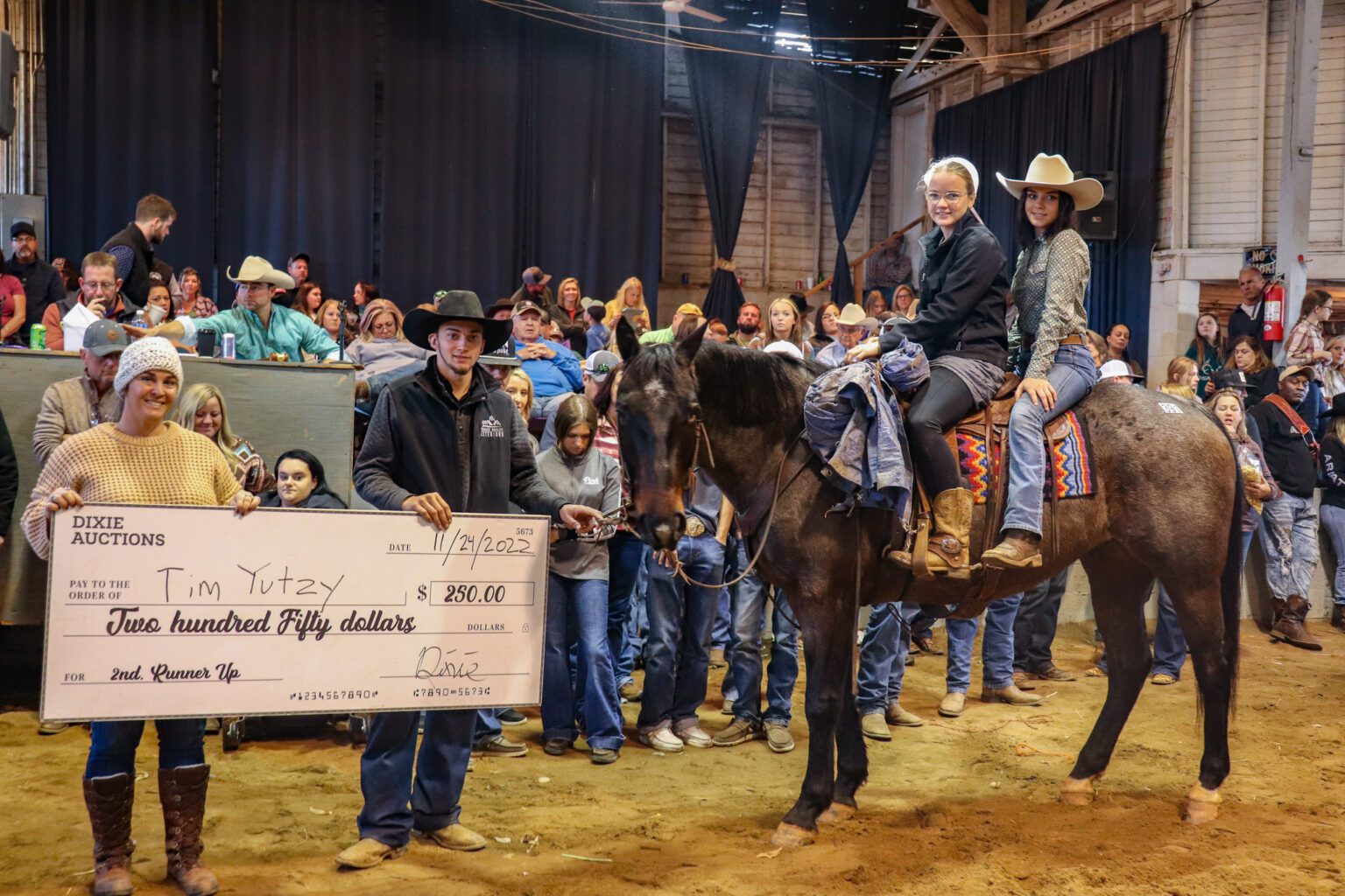 Trail Horse Competition - Dixie Horse Auction LTD