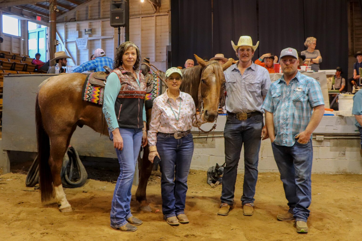 Trail Horse Competition - Dixie Horse Auction LTD